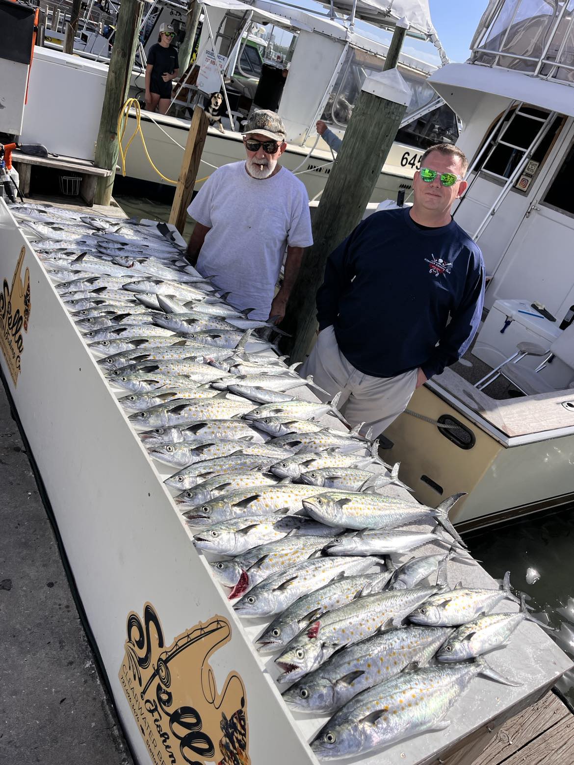 Fish of the Month | Spanish Mackerel – Stella Fishing Co.