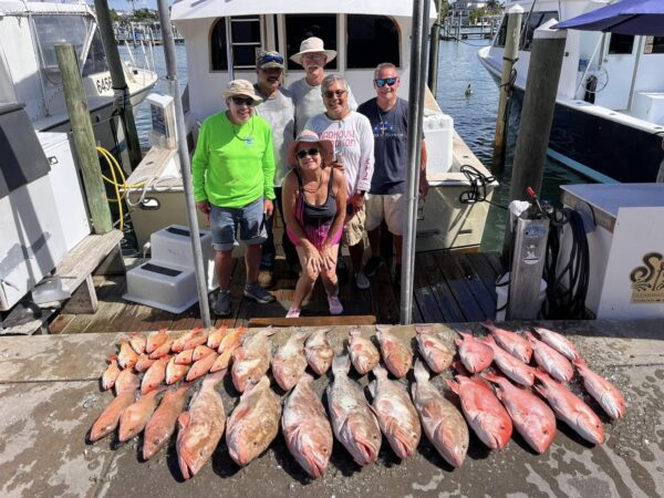 Fish of the Month | Red Grouper – Stella Fishing Co.